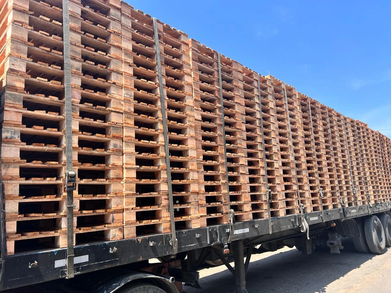 PALLET ARLOG NUEVO